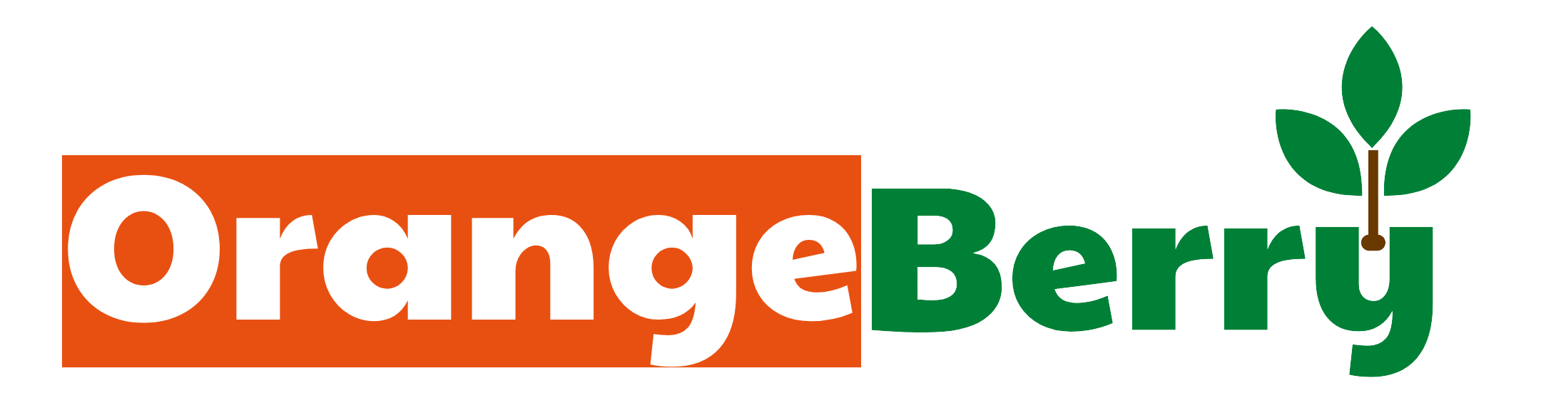 OrangeBerry Sleep - India's Fastest Growing Mattress Brand